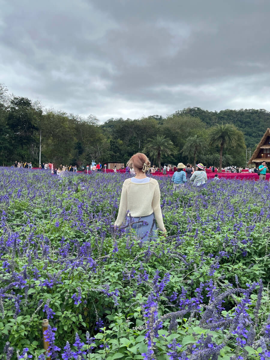 Khao Yai national park & Christmas preparations - Belmont Lumos