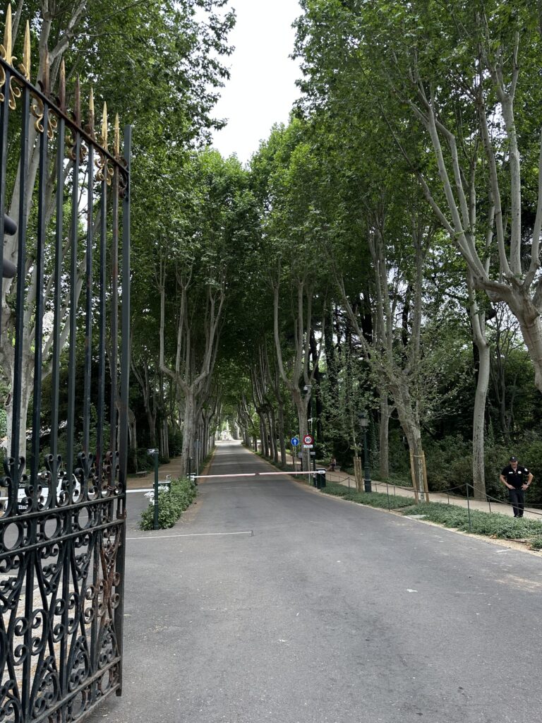 Finding My Rhythm - Belmont Lumos